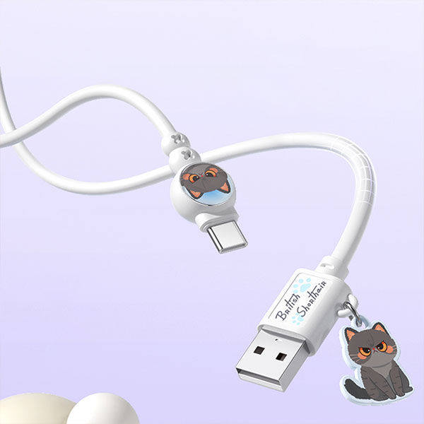 Start Your Own Ilahui Franchise Store | Global Retail Brand